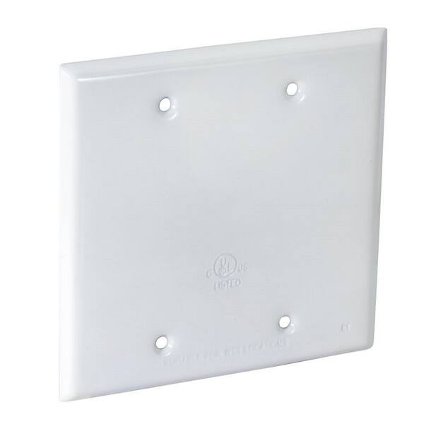 Southwire Weatherproof Double Gang White Blank Cover with Gasket (100 ...