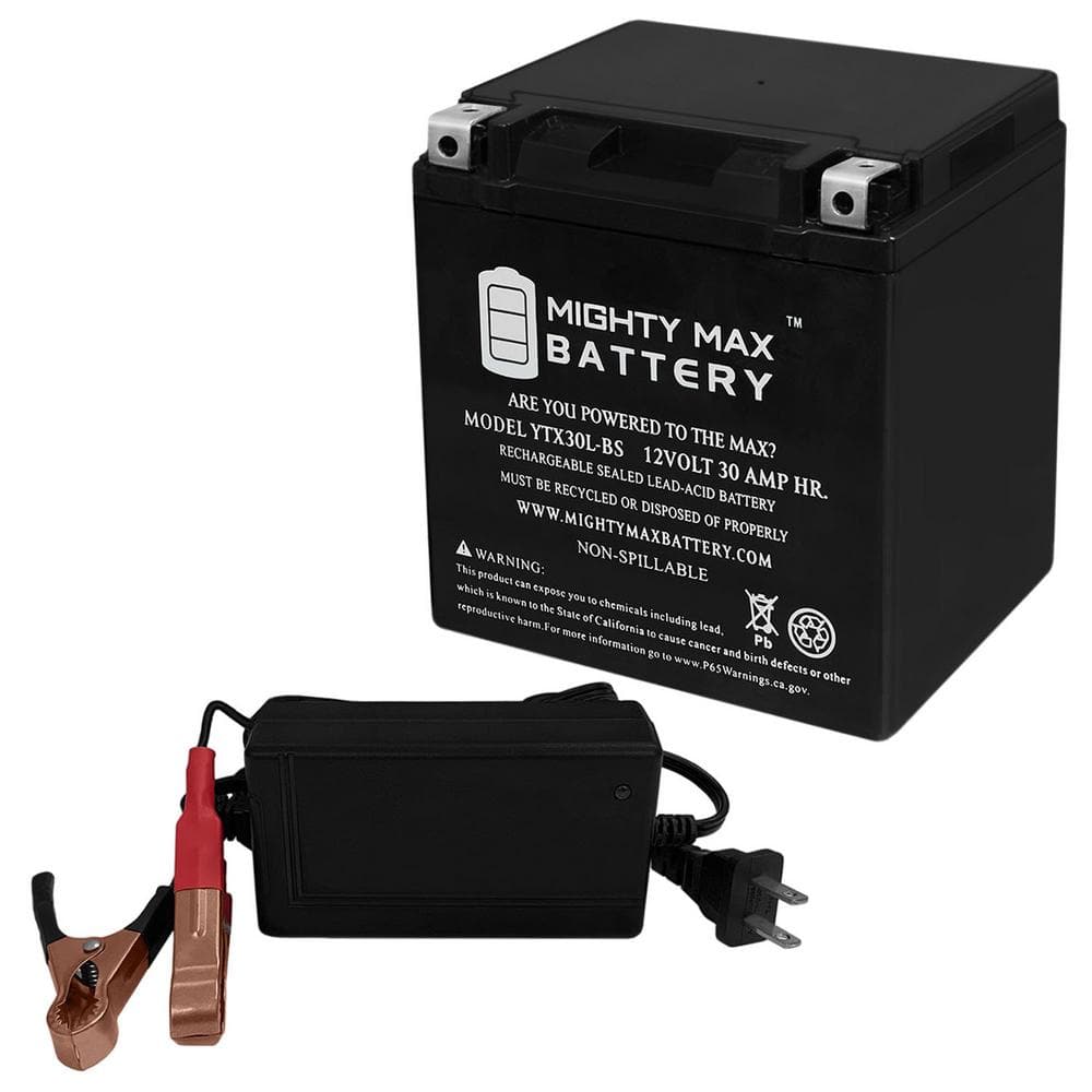 MIGHTY MAX BATTERY YTX30L-BS Replacement Battery Compatible with Mega ...