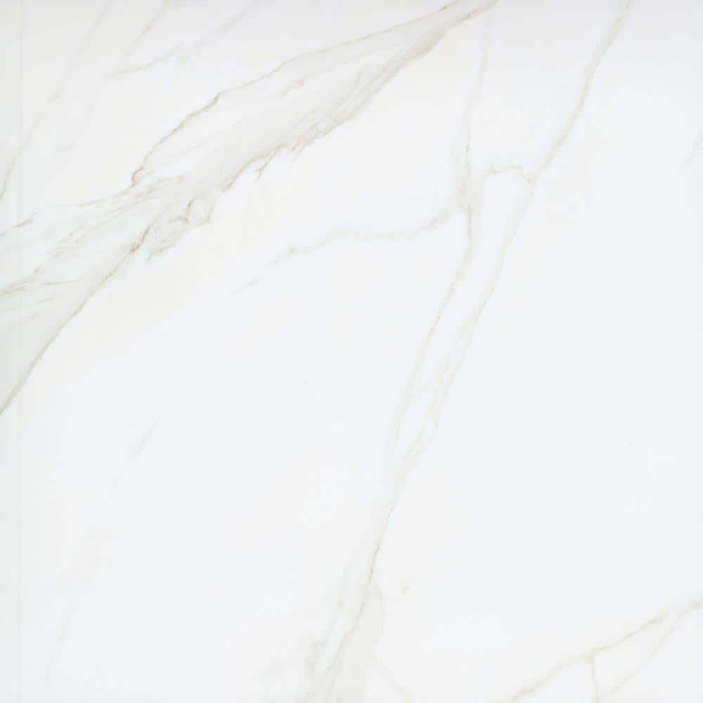 EMSER TILE Nobleza Lugo 24 in. x 24 in. Matte Porcelain Floor and Wall ...