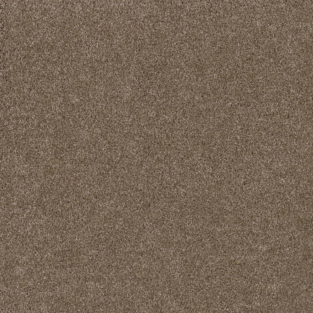 Home Decorators Collection Delight I - Captivate - Beige 48 oz. SD ...
