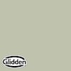 Glidden Essentials 5 gal. PPG1126-4 Side Kick Satin Exterior Paint ...
