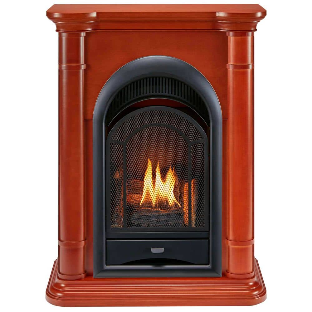 ProCom FS100T-3AS Ventless Fireplace System 10K BTU Duel Fuel ...