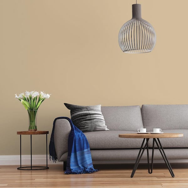 Pony Tail Paint Color