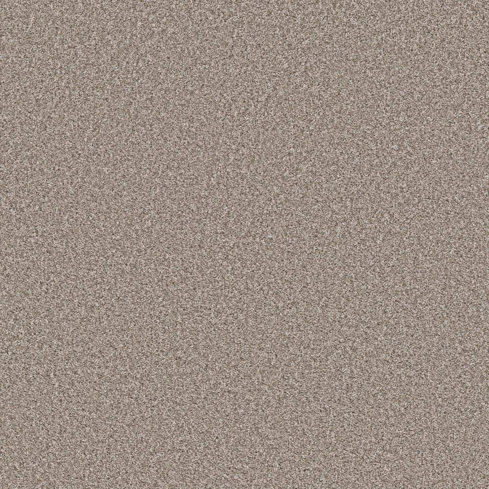 Home Decorators Collection 8 in. x 8 in. Texture Carpet Sample - Piece ...
