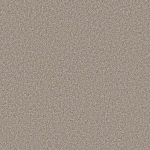 Home Decorators Collection 8 in. x 8 in. Texture Carpet Sample - Piece ...
