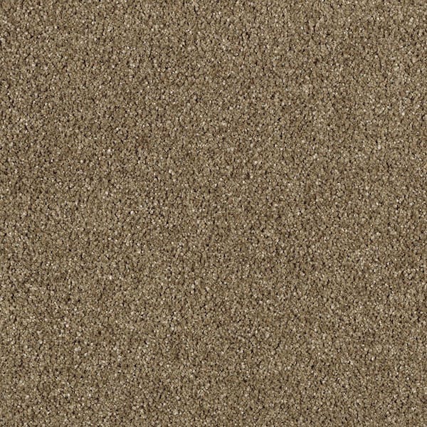TrafficMaster Private Retreat II - Color Tea Leaves 12 ft. Carpet 0617D ...