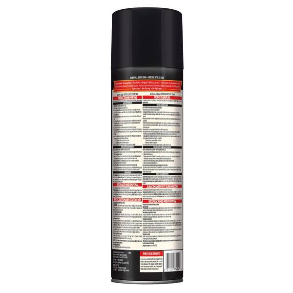 Spectracide 14 oz. Foaming Wasp and Hornet Insect Killer Aerosol Spray ...