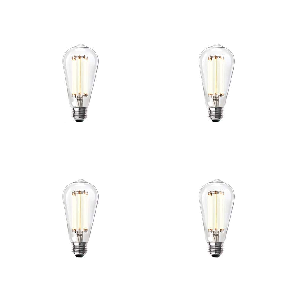 Feit Electric 60-Watt Equivalent ST19 Dimmable Cage Filament Clear ...