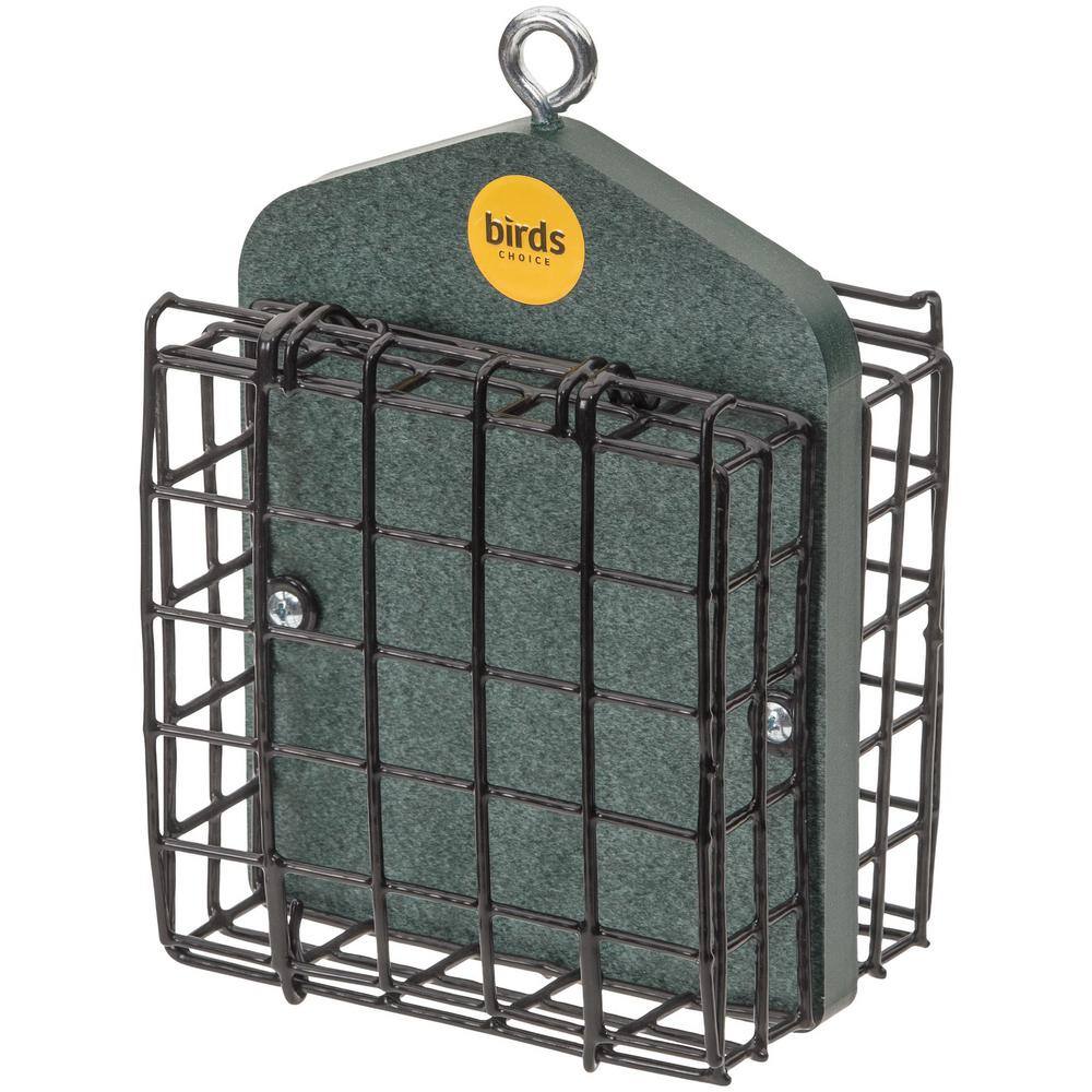 BIRDS choice Suet Feeder for 2-Cakes in Evergreen Recycled Plastic SNDS ...