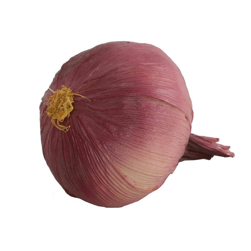 Flora Bunda Set of 6 Artificial Red Onions FT258-MV-S6 - The Home Depot