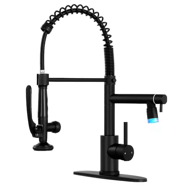 AKLFGN Single Handle Pull Down Sprayer Kitchen Faucet with Advanced ...