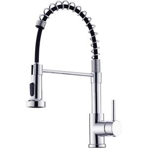 Heemli Single-Handle Pull Out Sprayer Coil Spring High-Arc Kitchen ...