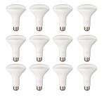 90-Watt Equivalent PAR38 Non-Dimmable Flood LED Light Bulb Bright White ...