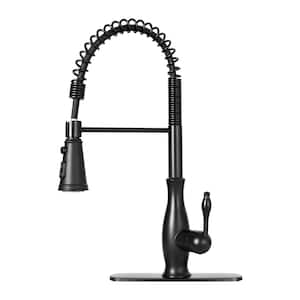 Akicon Akicon Black 18.19 in. H Single-Handle Pull-Down Sprayer Kitchen ...