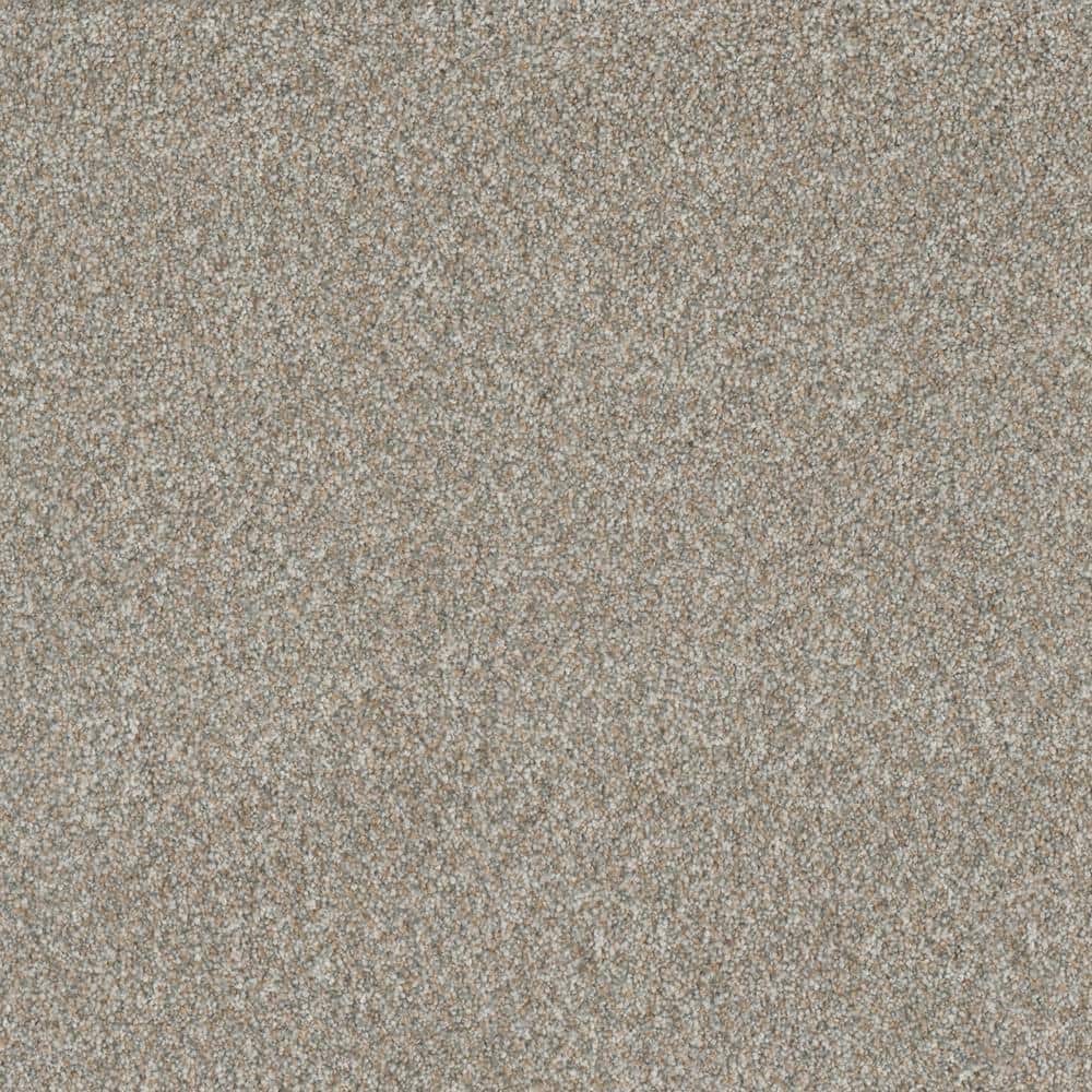 Engineered Floors 8 in. x 8 in. Texture Carpet Sample - Classic Comfort ...