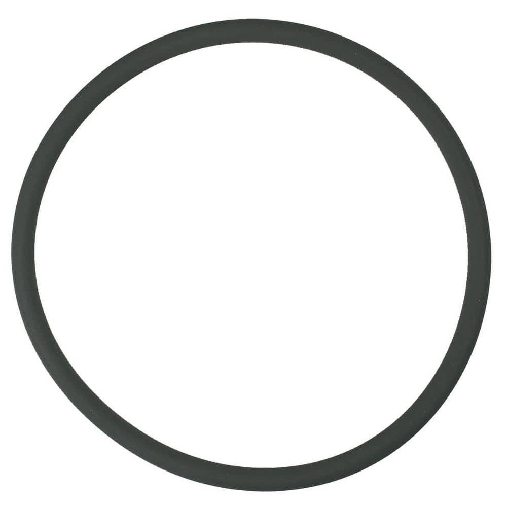 PENTAIR Lid O-ring for Select Pool Chemical Feeders R172009Z_A - The ...