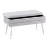Lumisource Neapolitan Chrome Storage Bench in Silver Velvet 16 in. x 30 ...