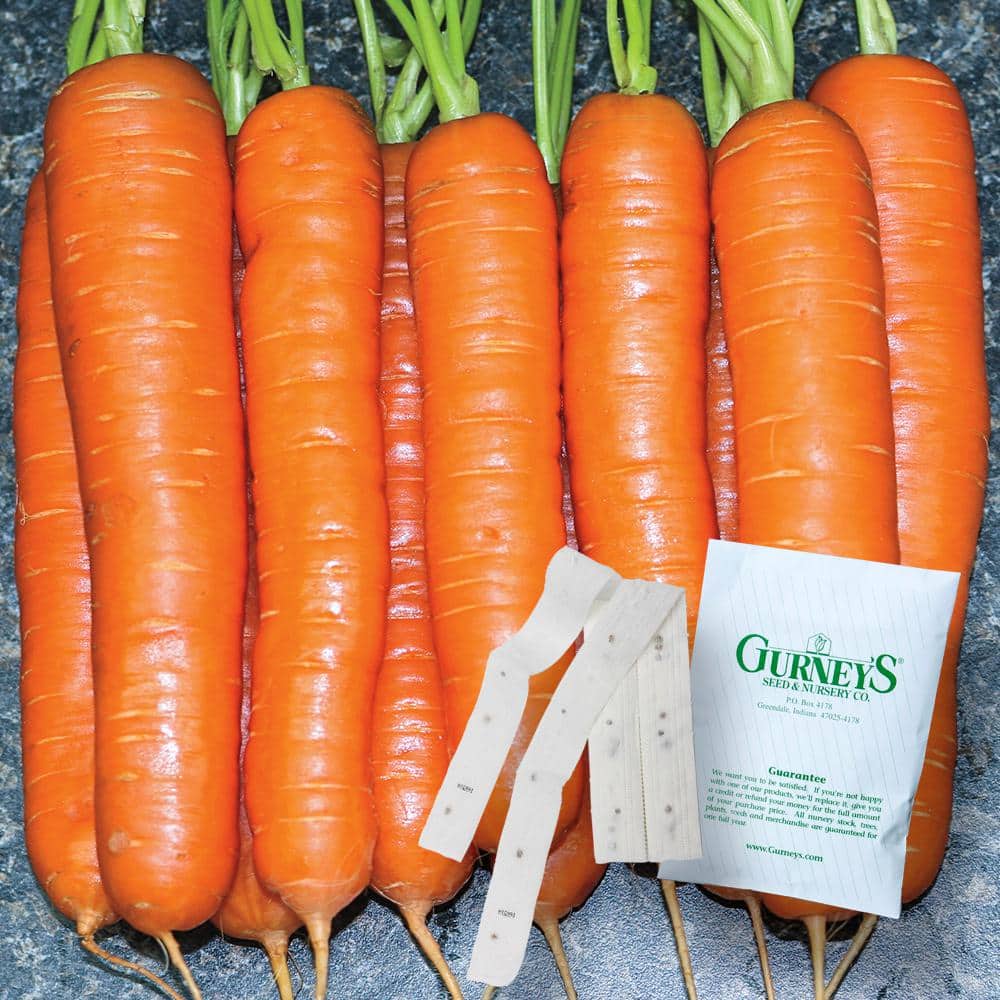 gurney-s-vegetable-seeds-73440-64_1000.jpg