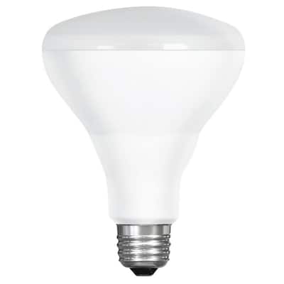 BR30 - Feit Electric - LED Light Bulbs - Light Bulbs - The Home Depot