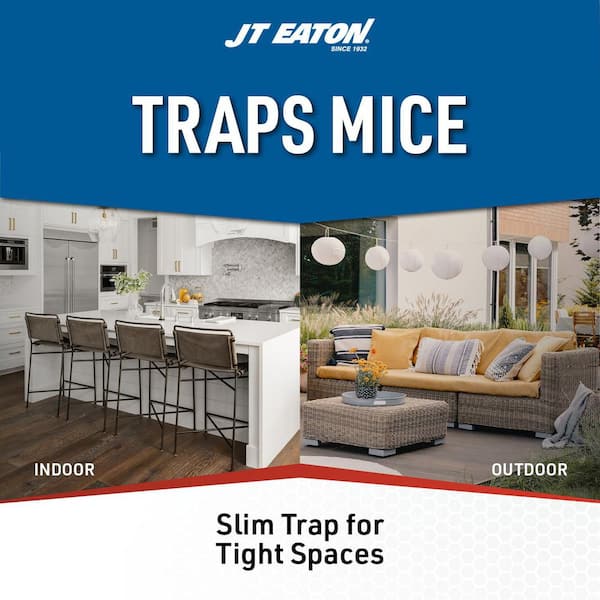Mouse - Live Animal - Traps - The Home Depot