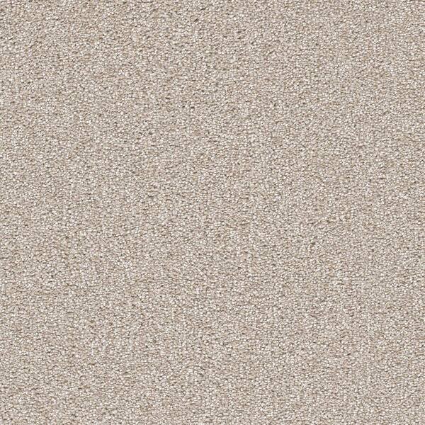 Home Decorators Collection 8 in. x 8 in. Texture Carpet Sample ...
