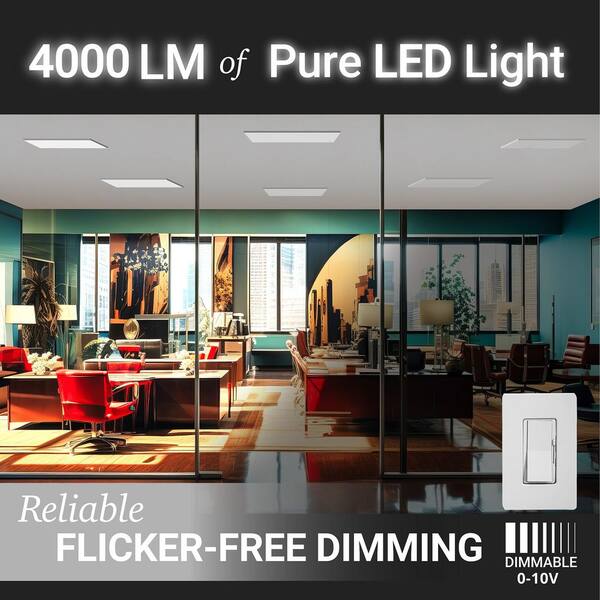 NuWatt 1 ft. x 4 ft. LED Thin Flush Surface Mount Panel W/Built in ...
