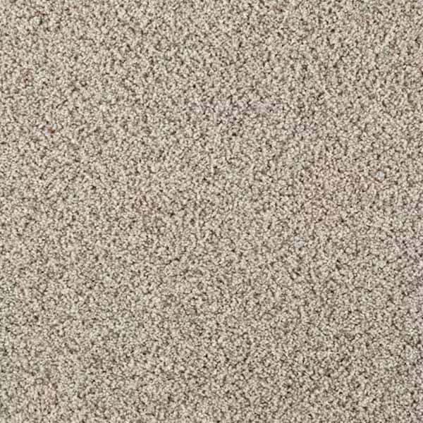 Mohawk 8 in. x 8 in. Texture Carpet Sample-Rockaway III-Color Nantucket ...