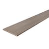 Fiberon ArmorGuard 3/4 in. x 11-1/4 in. x 12 ft. Aspen Gray Capped ...