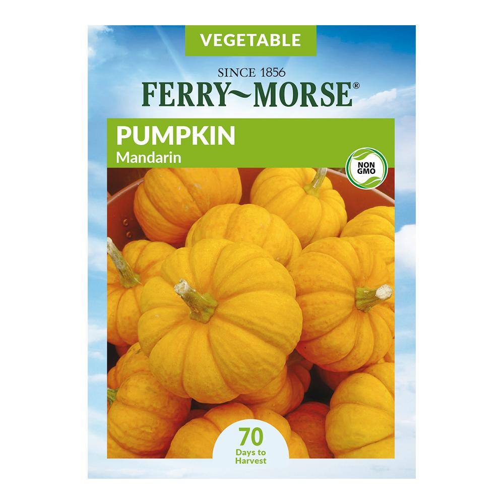 Ferry-Morse Pumpkin Mandarin Fruit Seeds 9753 - The Home Depot