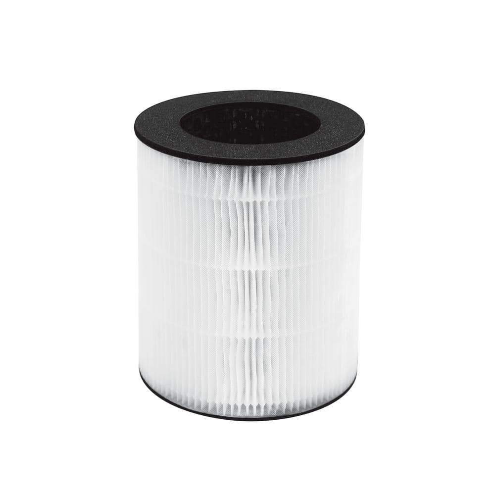 HoMedics Replacement 360 HEPA Type Filter AP-T20FL - The Home Depot