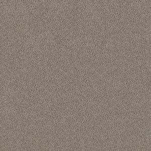 Home Decorators Collection 8 in x 8 in. Texture Carpet Sample ...