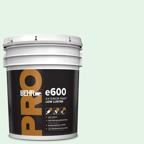 BEHR PRO 5 gal. #470C-1 Mint Fizz Low Luster Exterior Paint PR62005 ...