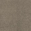 Home Decorators Collection 8 in. x 8 in. Texture Carpet Sample ...