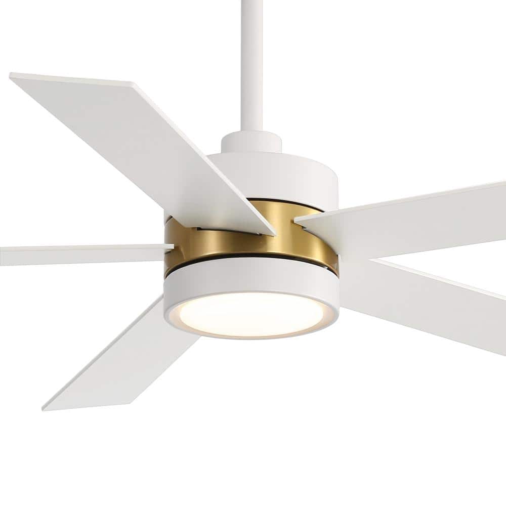Flashwind Nova 52 in. Indoor White and Gold Ceiling Fans with ...