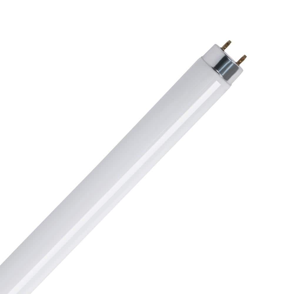 Feit Electric 15-Watt 18 in. T8 G13 Linear Fluorescent Tube Light Bulb, Bright White 3000K (1 ...