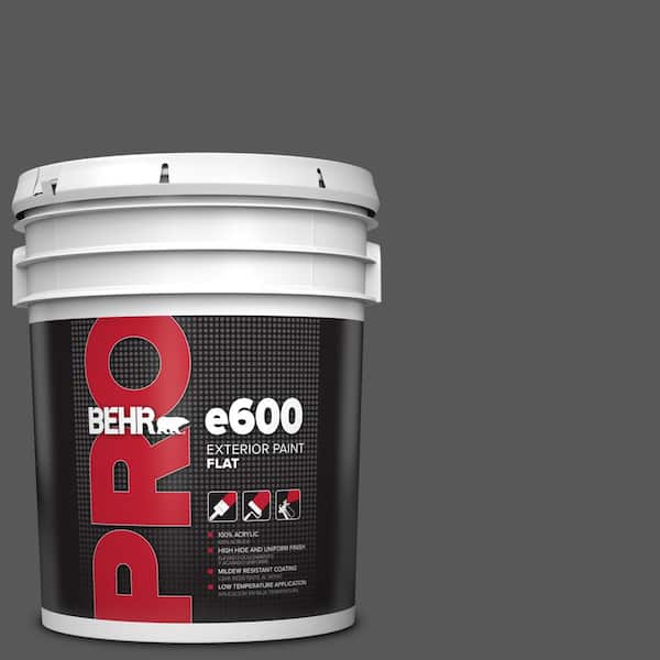 BEHR PRO 5 gal. #PPU24-22 Shadow Mountain Flat Exterior Paint PR61305 ...