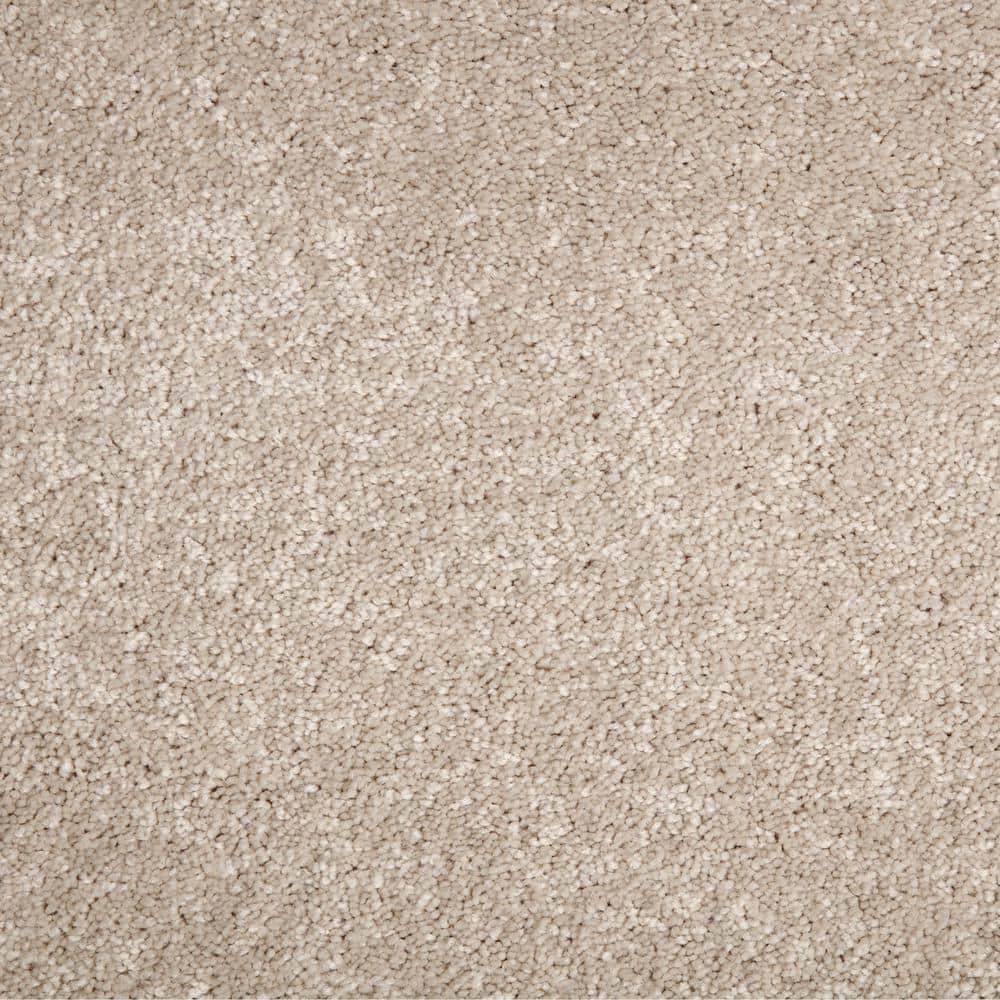 Home Decorators Collection 8 in. x 8 in. Texture Carpet Sample - Gemini ...