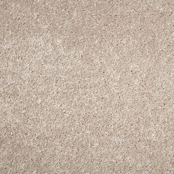 Home Decorators Collection 8 in. x 8 in. Texture Carpet Sample - Gemini ...