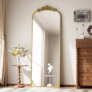 XRAMFY 21 in. W x 64 in. H Arched Gold Aluminum Alloy Framed Full ...