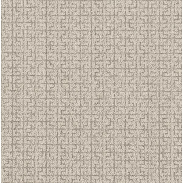 Shaw 8 in. x 8 in. Pattern Carpet Sample - Claymore - Color Hearth ...