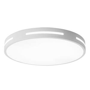 DEWDROP 11.8 in. 24-Watt LED Flush Mount Ceiling Light White Close to ...
