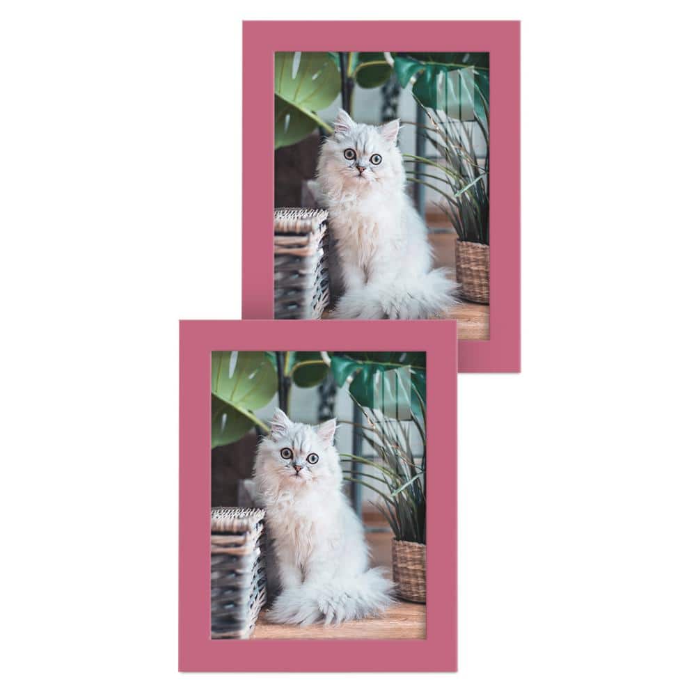 Wexford Home Modern 6 in. x 8 in. Hot Pink Picture Frame (Set of 2 ...