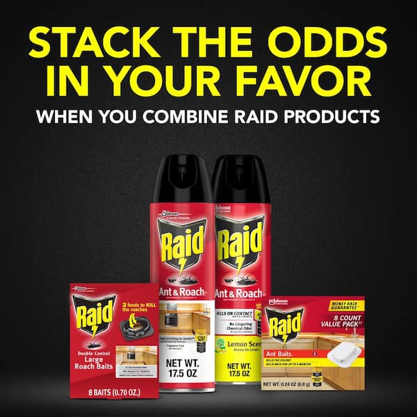 Raid Ant Baits Indoor Ant Killer, 8-Baits, 0.24 oz. Total SCJ674796 ...