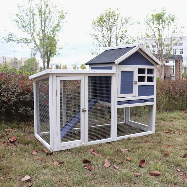 Runesay Blue Wooden Chicken Coop Hen House Rabbit Wood Hutch Poultry ...