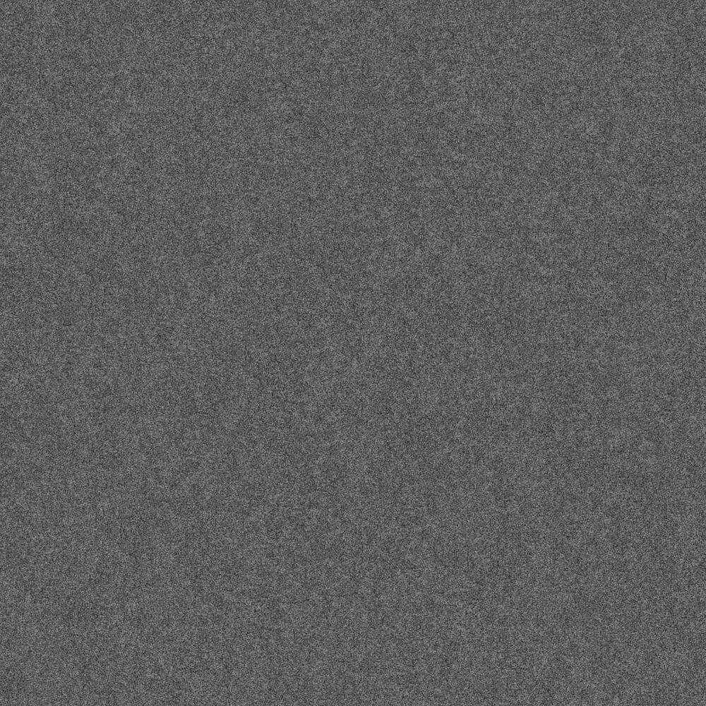 Lifeproof Coastal Charm II Color Armor Gray 56 oz. Nylon Texture ...