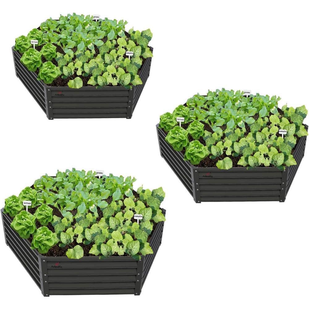 3pcs Hexagon Galvanized Metal Raised Garden Beds for Vegetables ...