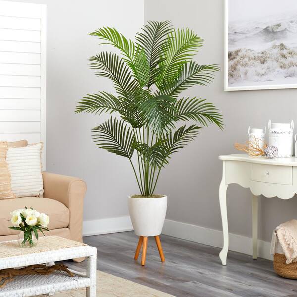 Palm Tree Stand