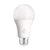 EcoSmart 60-Watt Equivalent A19 Dimmable CEC LED Light Bulb with ...