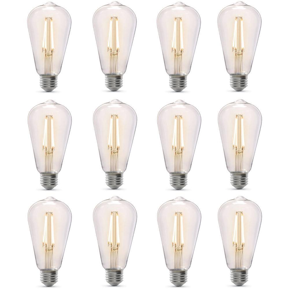 Reviews for Feit Electric 60-Watt Equivalent ST19 Straight Filament ...