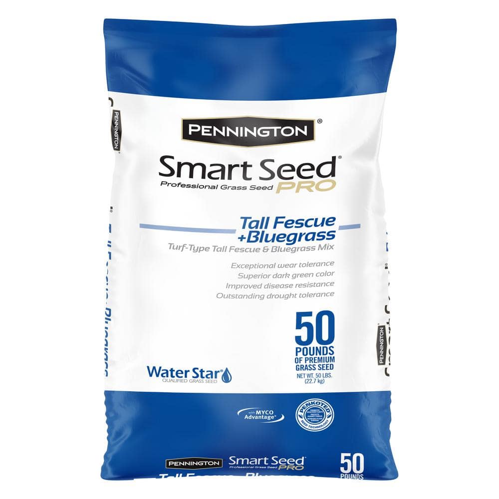 Pennington Smart Seed Professional Tall Fescue with Bluegrass Mix 50 ...